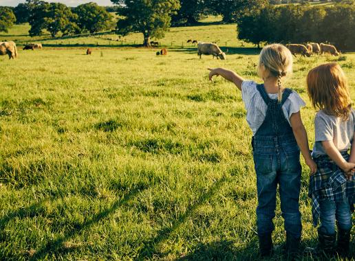 Signalen Leefomgeving | Signalen Leefomgeving en Gezondheid